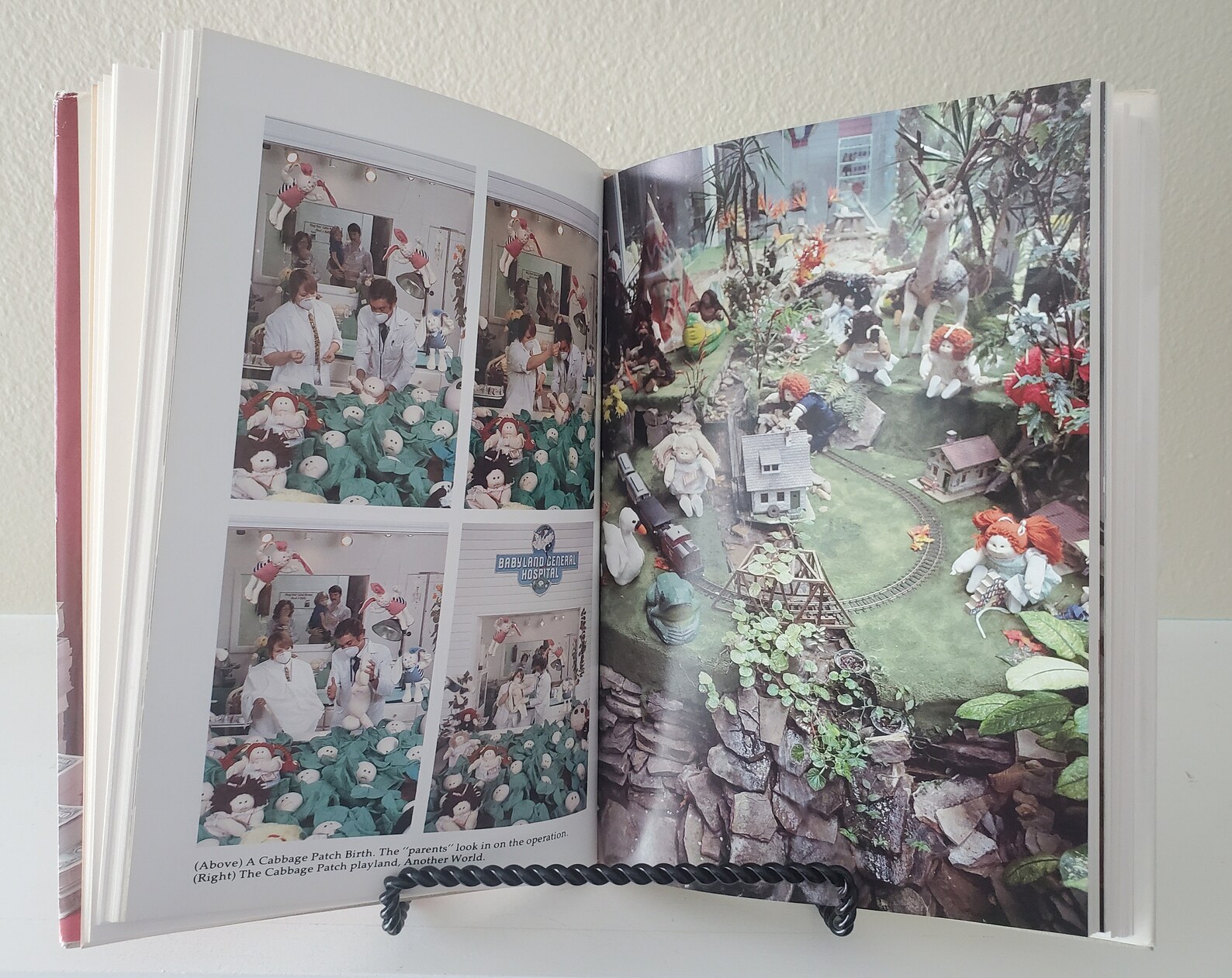 Fantasy Incredible Cabbage Patch Phenomenon Book Culture Fad Doll ...