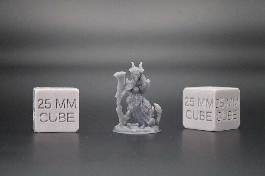 Tiefling Demonkin Female Twin Blade Double Sword 32mm Miniature Dnd ...