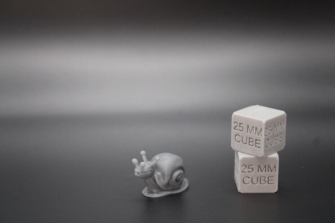 Giant Racing Snail Mount 28mm 32mm Miniature Dnd RPG Skirmish - Etsy