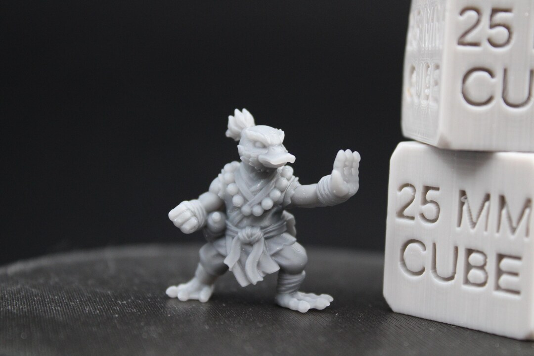 Mallard Duck Monk 28-32mm Miniature Dnd Skirmish - Etsy
