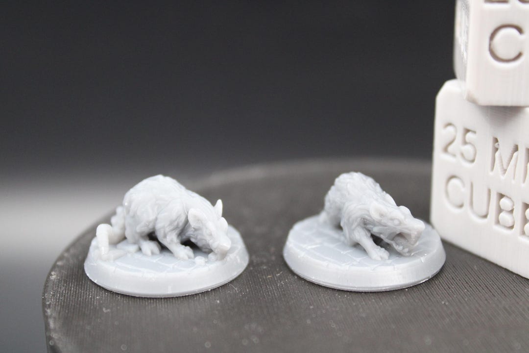 Witch Familiar Giant Rat Pair 32mm Miniature Dnd Skirmish - Etsy