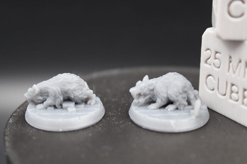 Witch Familiar Giant Rat Pair 32mm Miniature Dnd Skirmish - Etsy