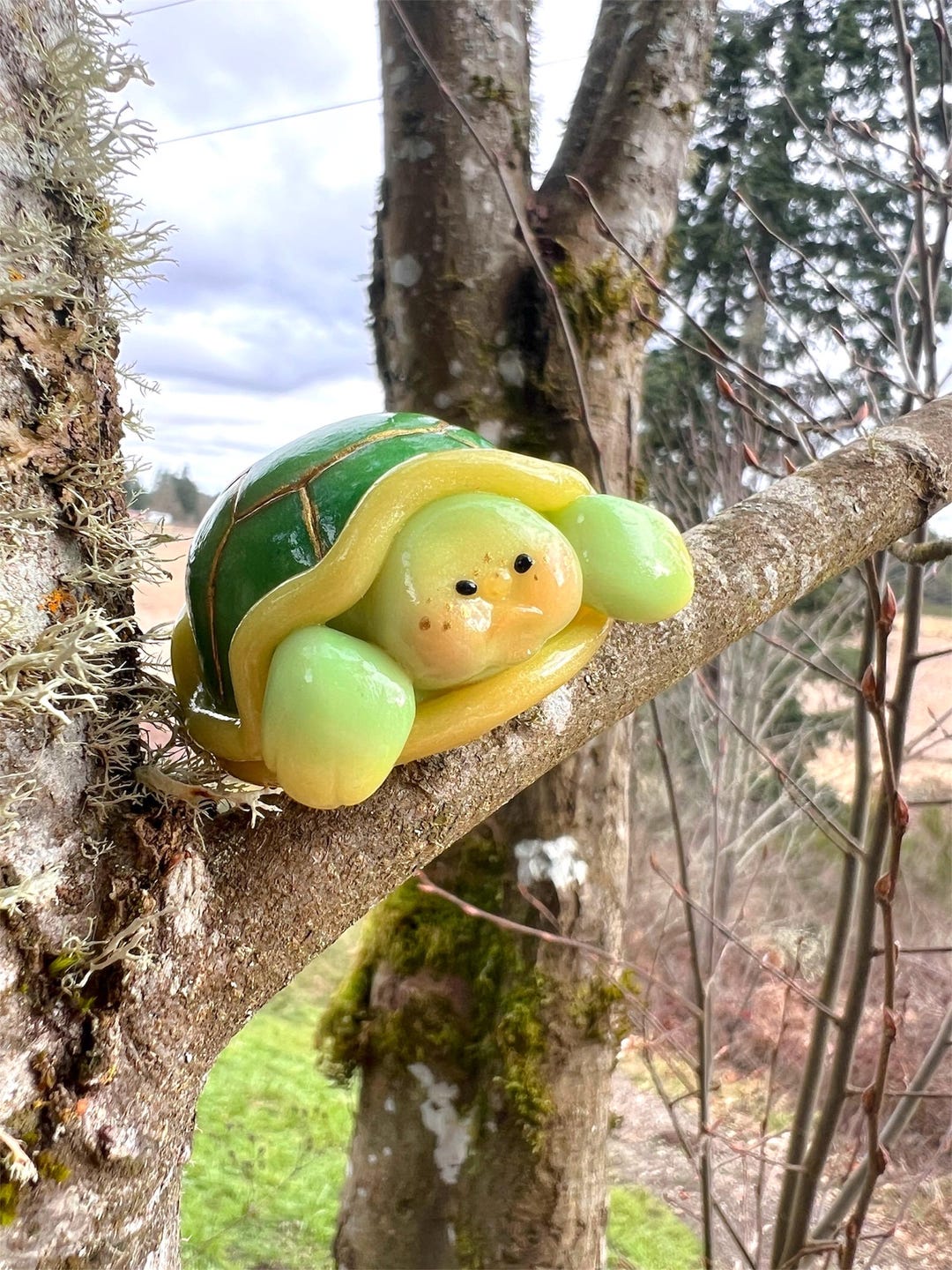 Handmade Freckle Turtle Desk Buddy, Decorative Pet Desk Friend, Kawaii ...