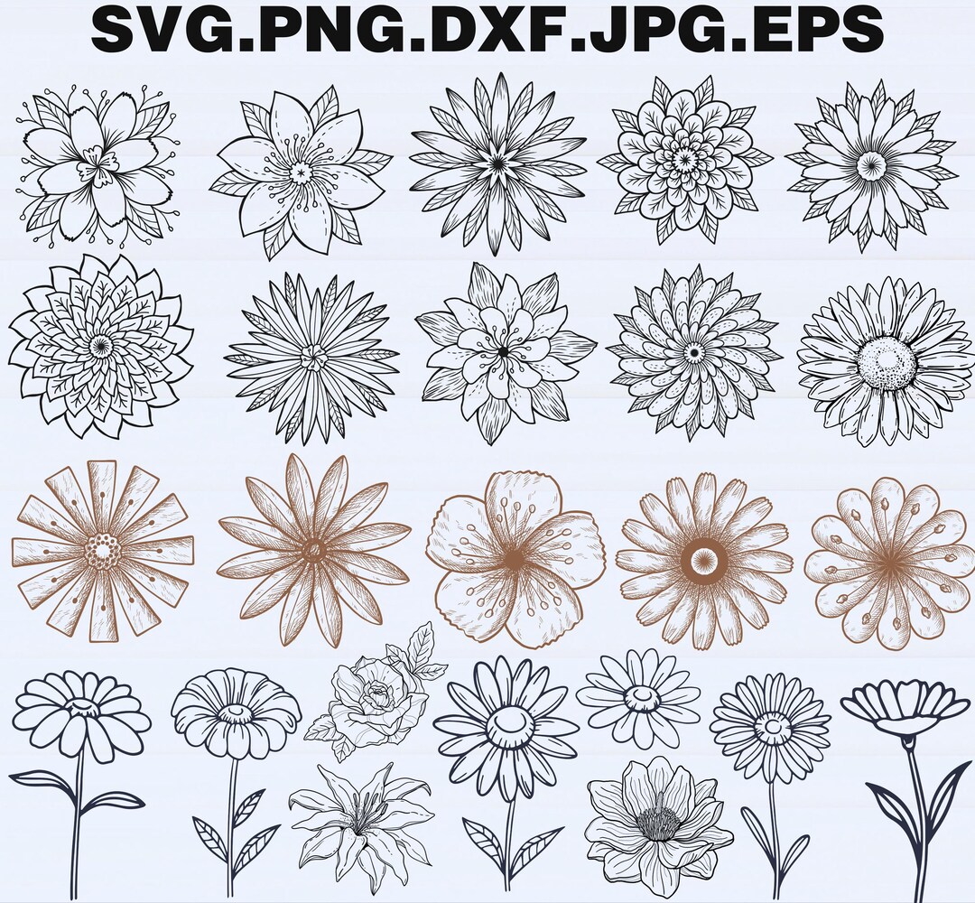 Daisy Flower SVG Bundle, Cut Files for Cricut (digital Download) - Etsy