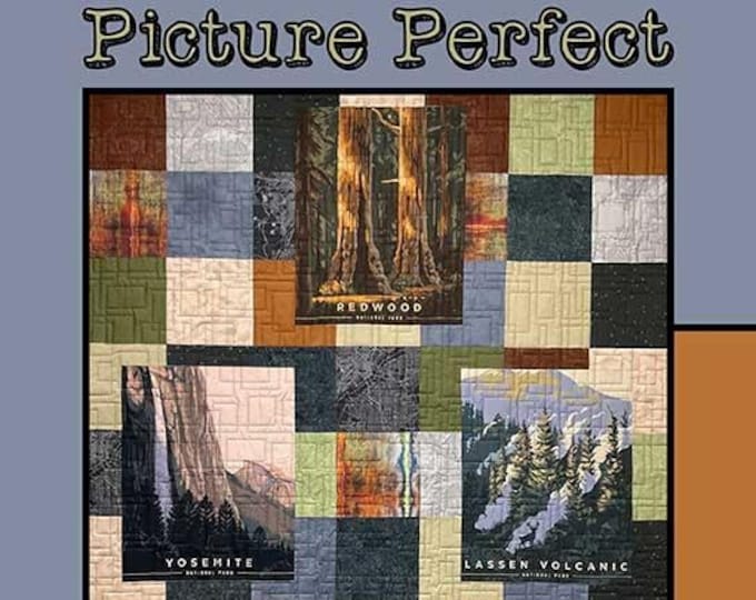 Picture Perfect Panel Frame Quilt Pattern, Villa Rosa Designs VRDMC105 ...