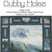 Staggered Strips Quilt Pattern, Pine Tree Country Quilts PTN3334, Ombre ...