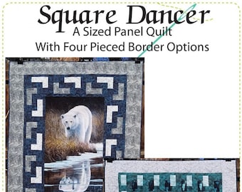 Picture That Panel Frame Quilt Pattern, Quilting Renditions QR1180 ...
