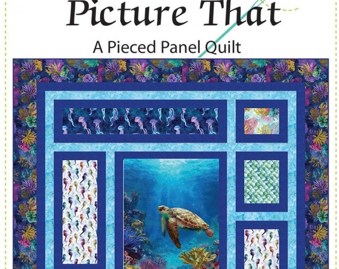 Picture That Panel Frame Quilt Pattern, Quilting Renditions QR1180 ...