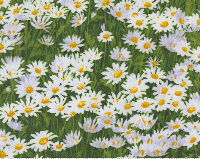 Daisy Daisies Landscape Fabric, Wildflowers 2024, Moda 33773 12, Blue ...