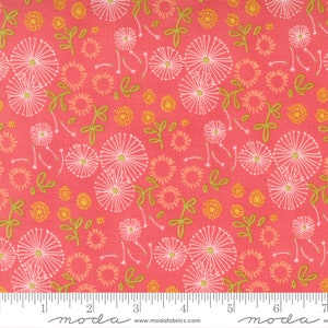 Dandi Duo Layer Cake, Moda 48750LC, 10 Inch Precut Fabric Squares ...