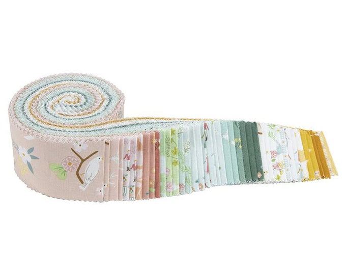Emma Rolie Polie Jelly Roll, Riley Blake RP-12210-40, Precut 2.5" Inch ...