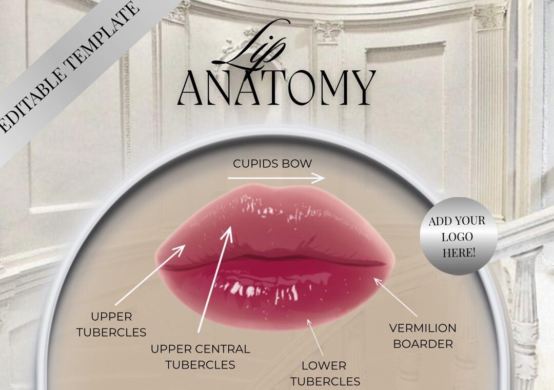 Editable Lip Anatomy Flyer | Aesthetic Canva Template for Estheticians ...