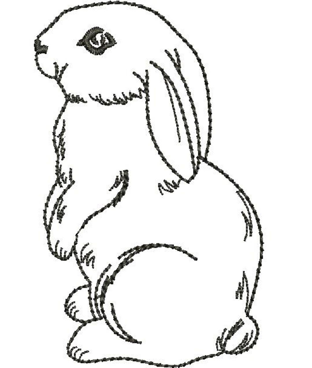 Rabbit Bunny HARE Machine Embroidery Designs, Instantly Download - Etsy