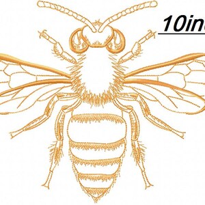 Honey Bee Machine Embroidery Designs, Instantly Download - Etsy