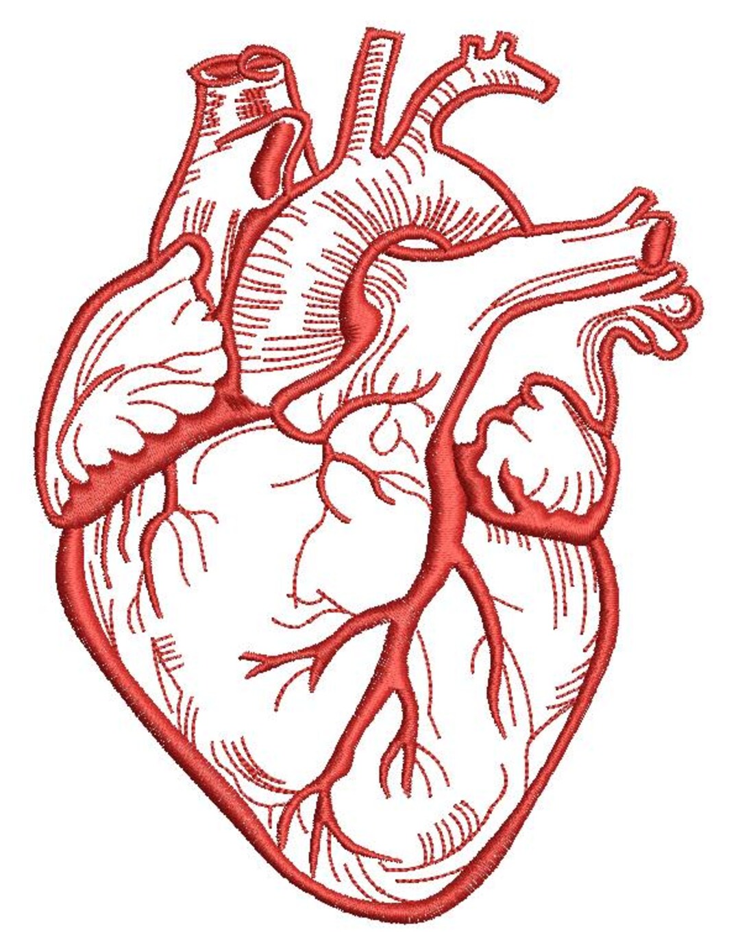 Anatomical Human Heart Machine Embroidery Designs, Instantly Download ...