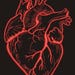 Anatomical Human Heart Machine Embroidery Designs, Instantly Download ...