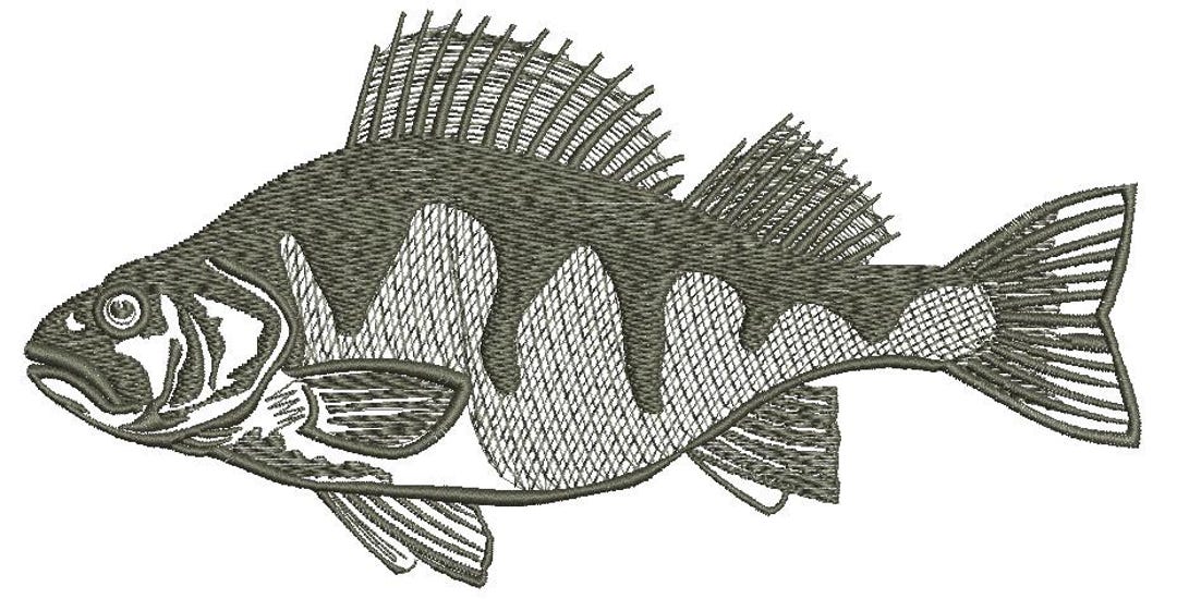 Perch Bass Fish Machine Embroidery Design, Instantly Download - Etsy ...