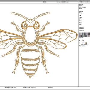 Honey Bee Machine Embroidery Designs, Instantly Download - Etsy