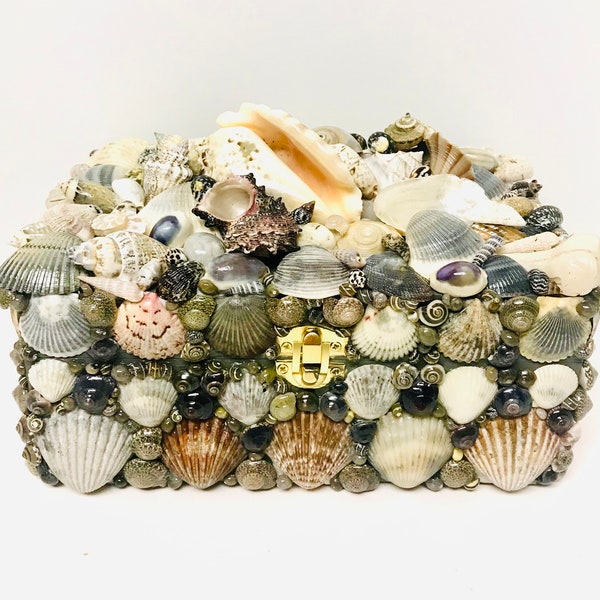 Seashell Box - Etsy