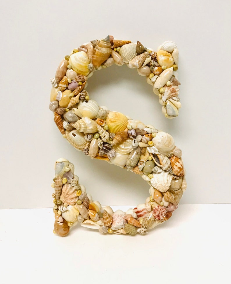 Seashell Letter S - Etsy