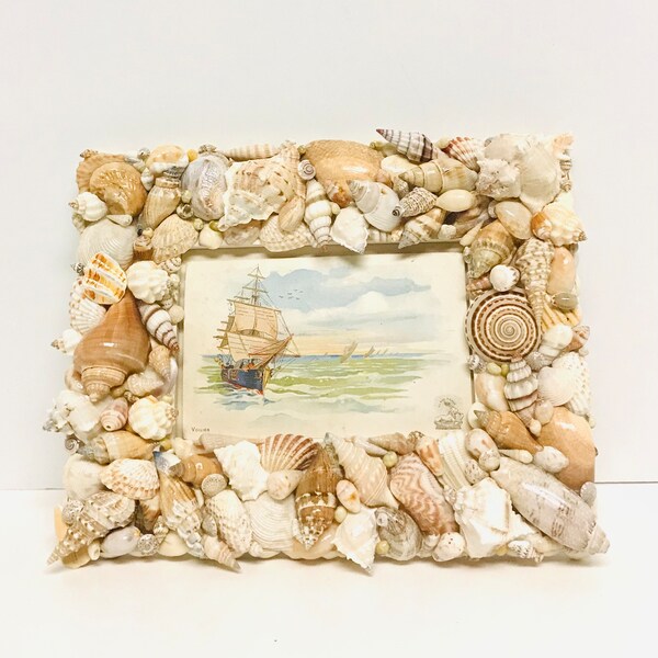 Shell Frame - Etsy