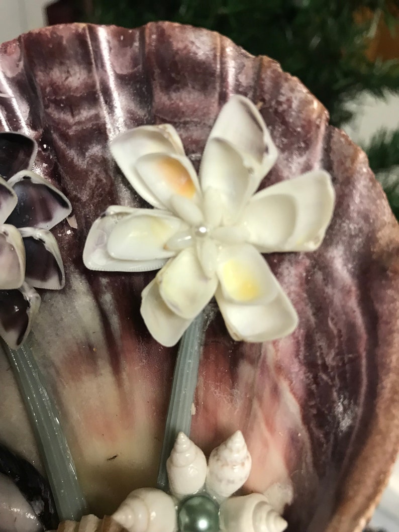 Lion's Paw Shell With Handmade Flowers - Etsy