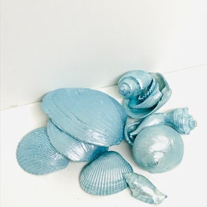 Metallic Light Blue Shells - Etsy