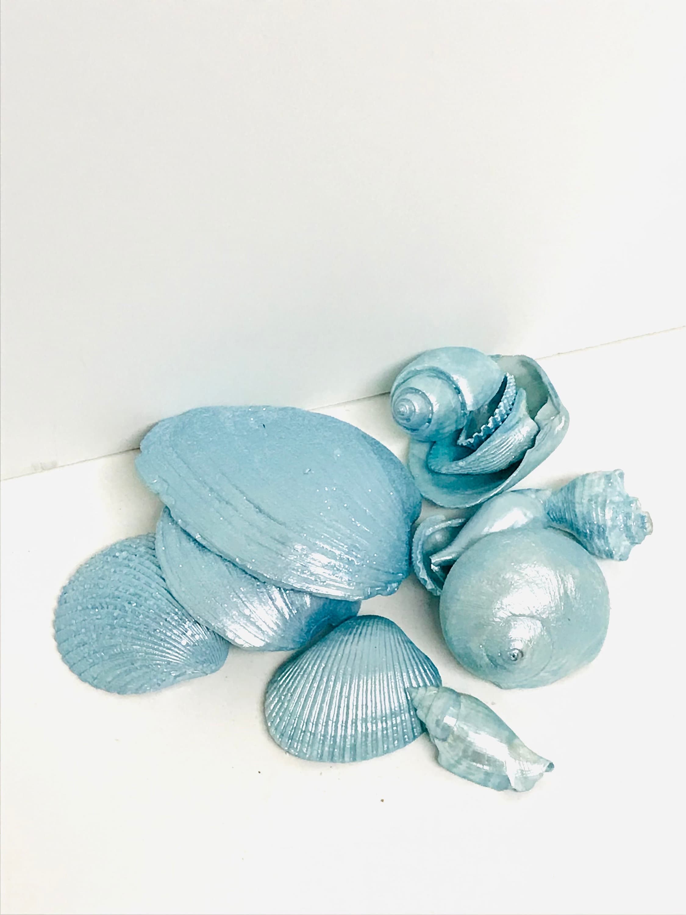 Metallic Light Blue Shells - Etsy