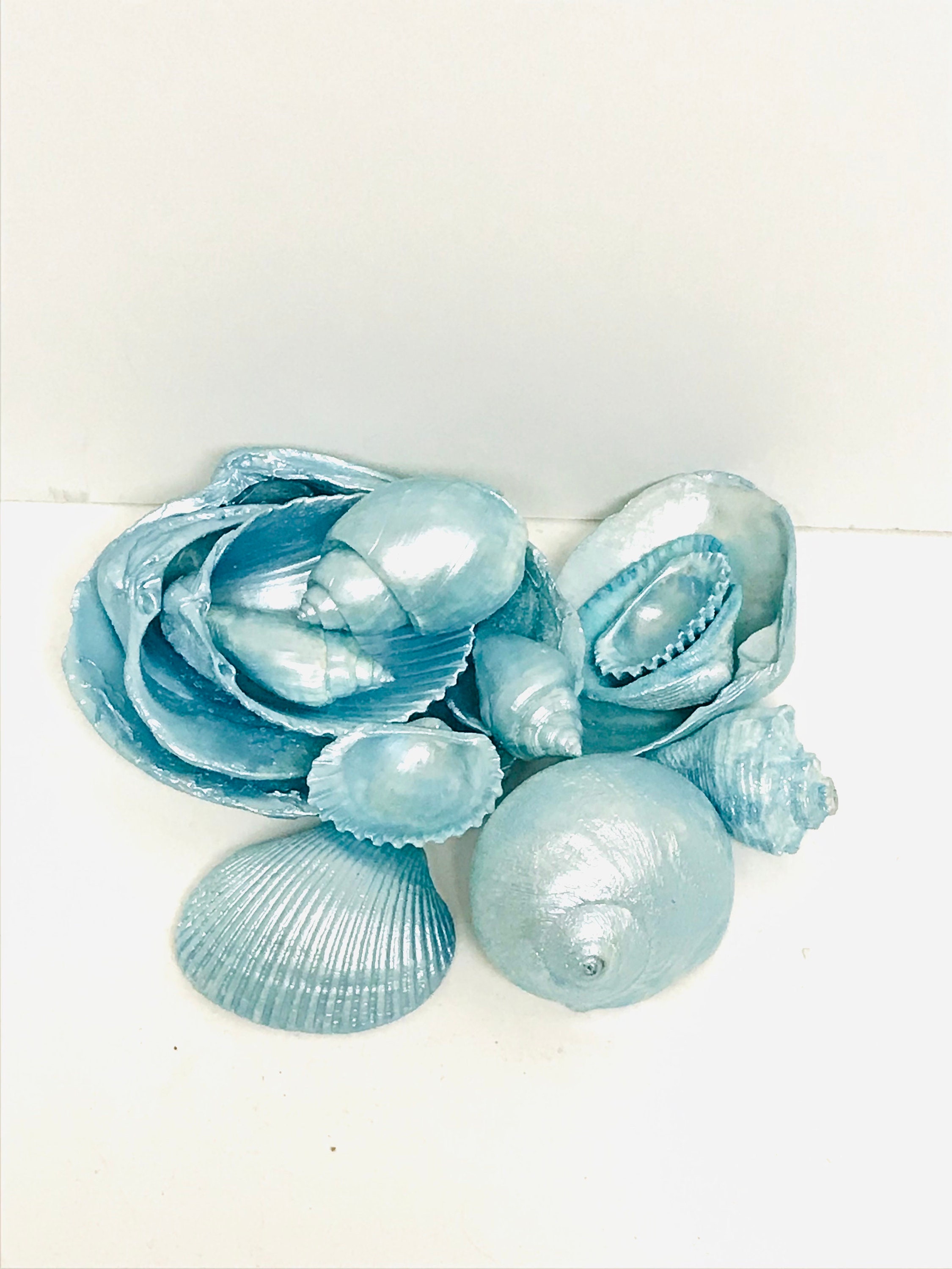 Metallic Light Blue Shells - Etsy