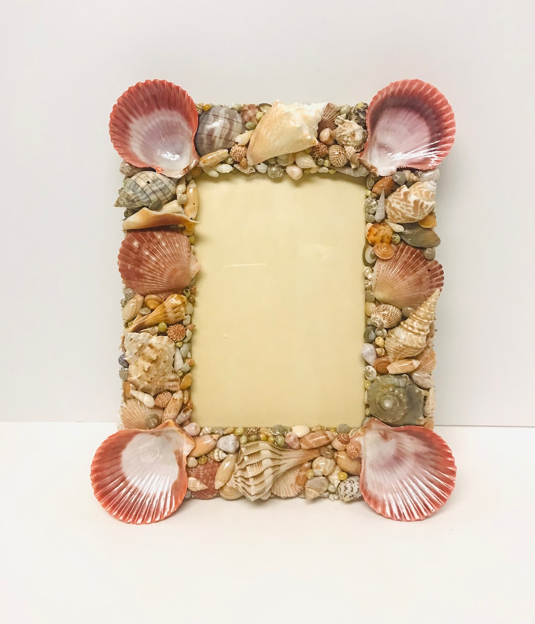 Shell Picture Frame Red Scallops Brown Shells - Etsy