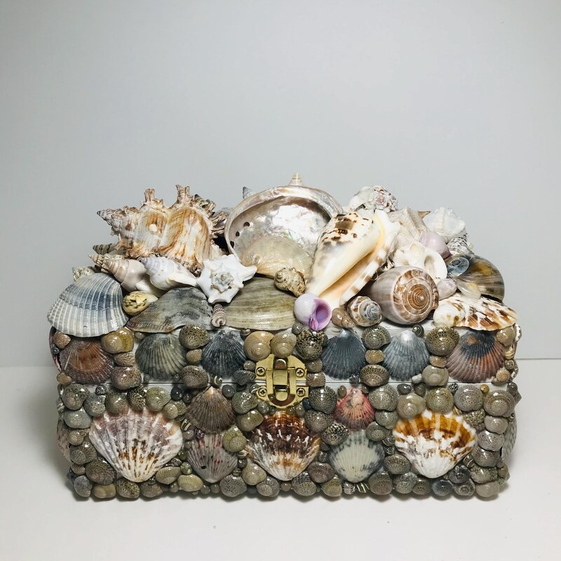 Seashell Box - Etsy