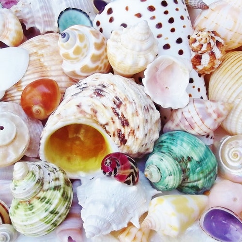 MosaicSeas - Etsy