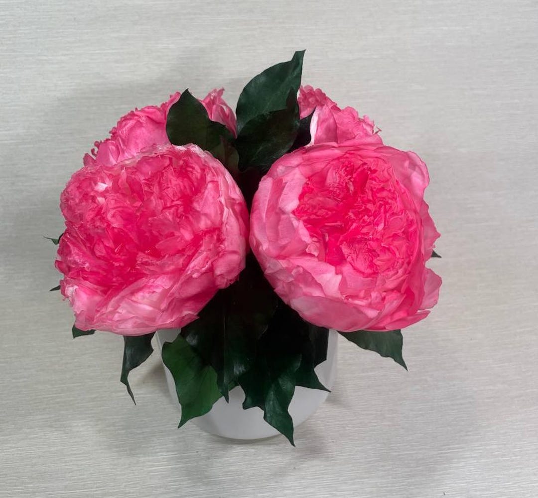 Preserved Peonies in Ceramic Vase , Preserved Peony, Peonies, Preserved ...