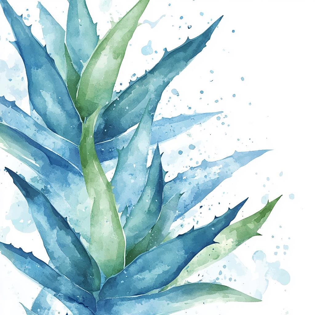 12 Watercolor Aloe Vera Prints, Plant Clipart, Minimalistic Art ...