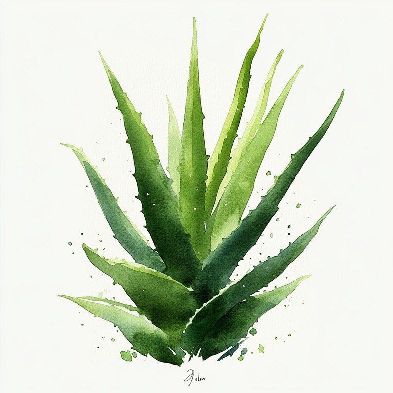 12 Watercolor Aloe Vera Prints, Plant Clipart, Minimalistic Art ...