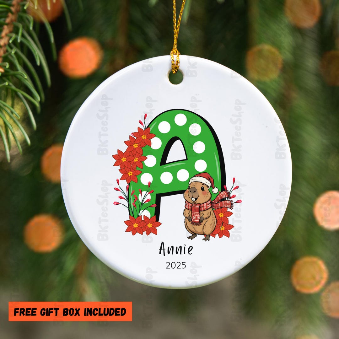 Personalized Capybara Letter Ornament, Marquee Letter Name Ornament ...