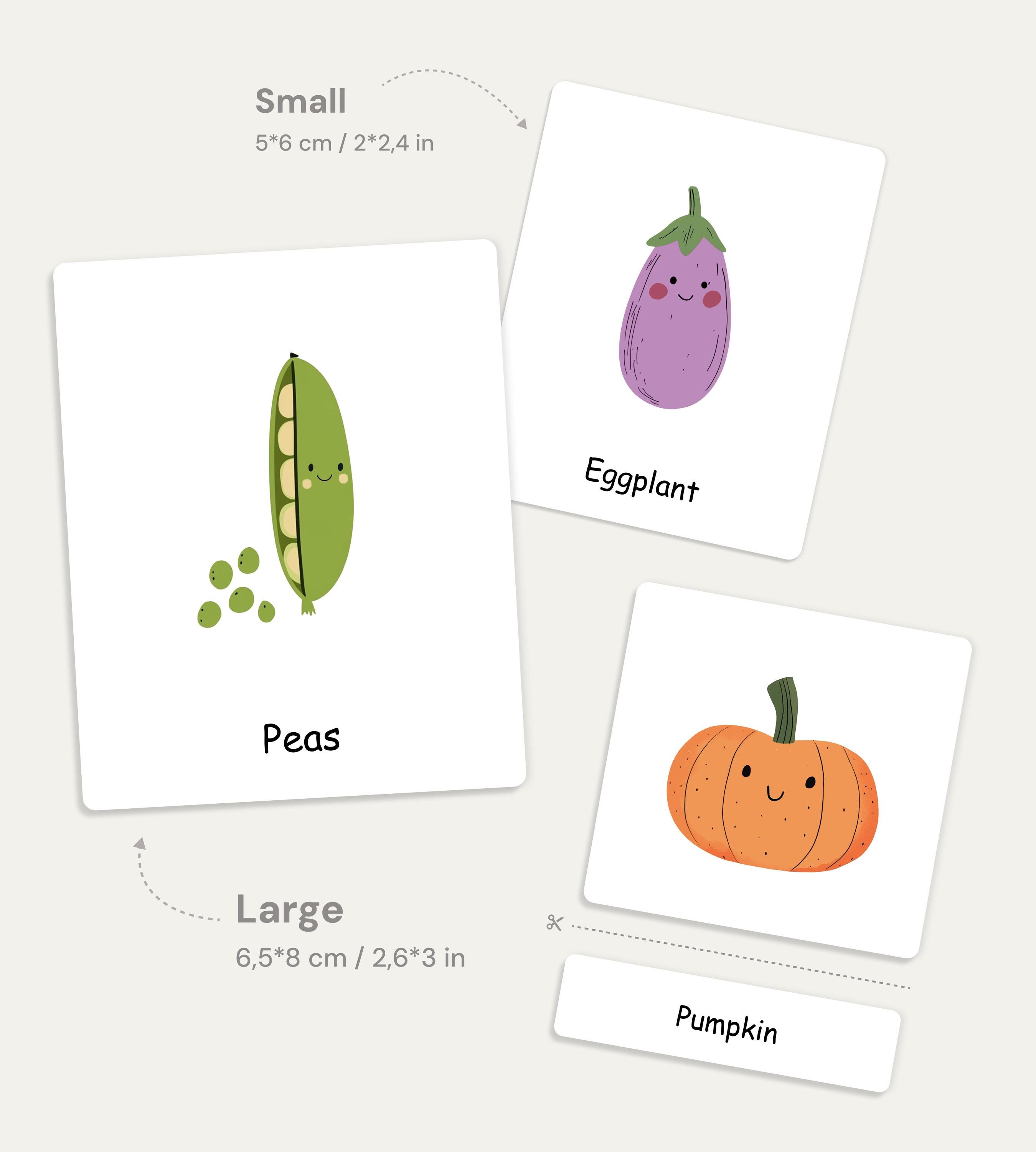 Vegetables Flashcards, Image Cards for Kids, Preschool, Nomenclature ...