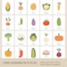 Vegetables Flashcards, Image Cards for Kids, Preschool, Nomenclature ...