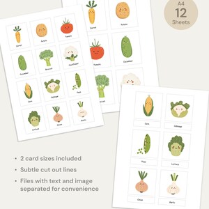 Vegetables Flashcards, Image Cards for Kids, Preschool, Nomenclature ...
