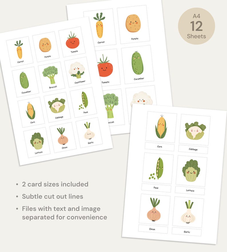 Vegetables Flashcards, Image Cards for Kids, Preschool, Nomenclature ...