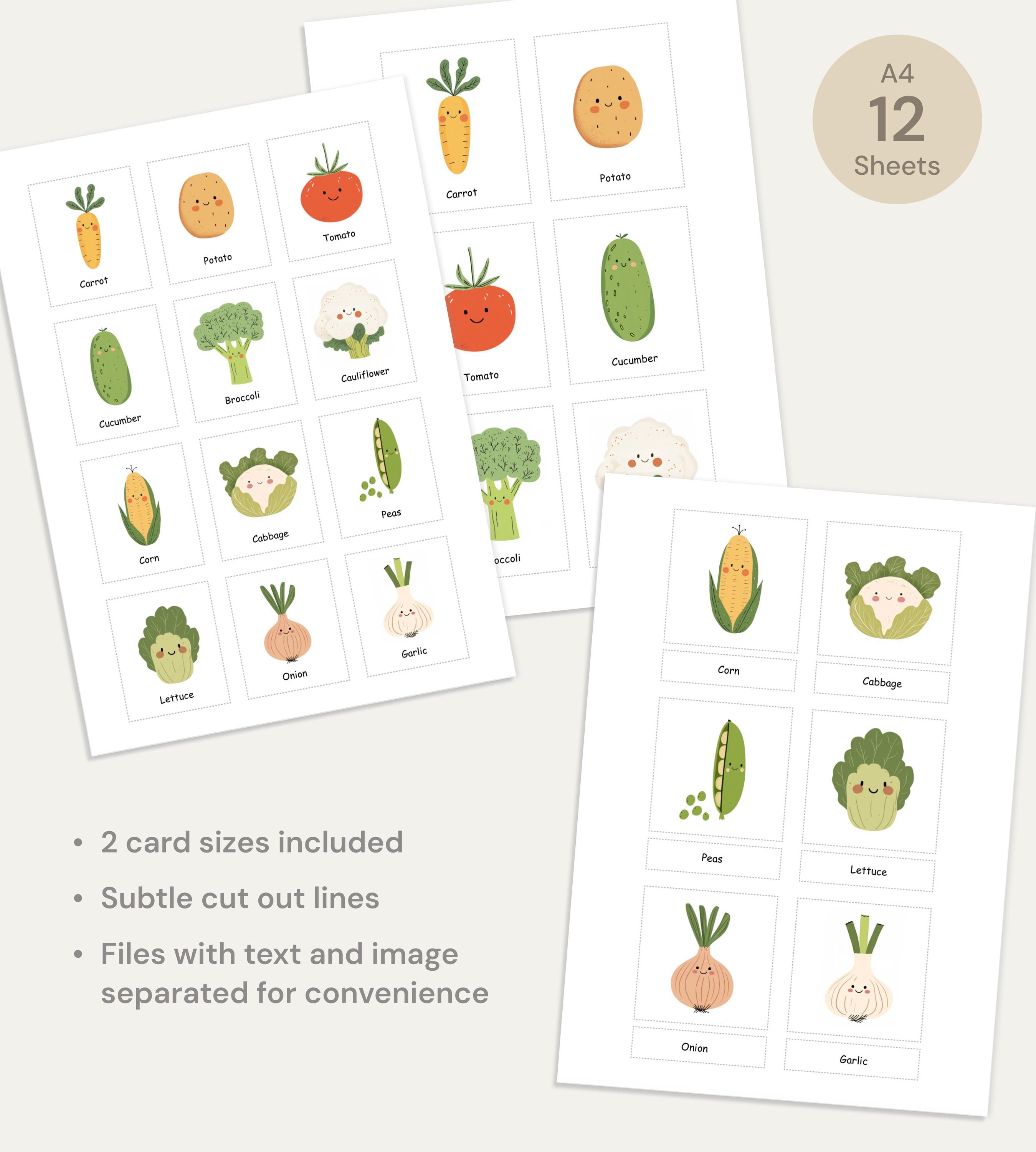 Vegetables Flashcards, Image Cards for Kids, Preschool, Nomenclature ...