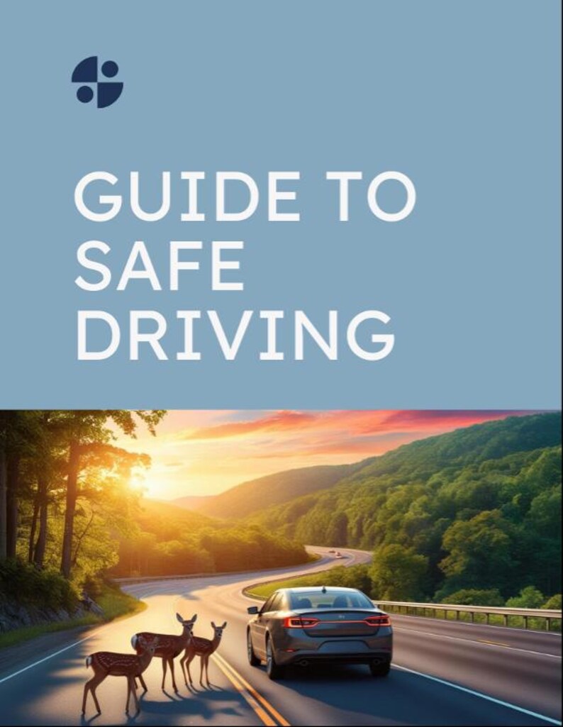 Guide to Safe Driving - Etsy