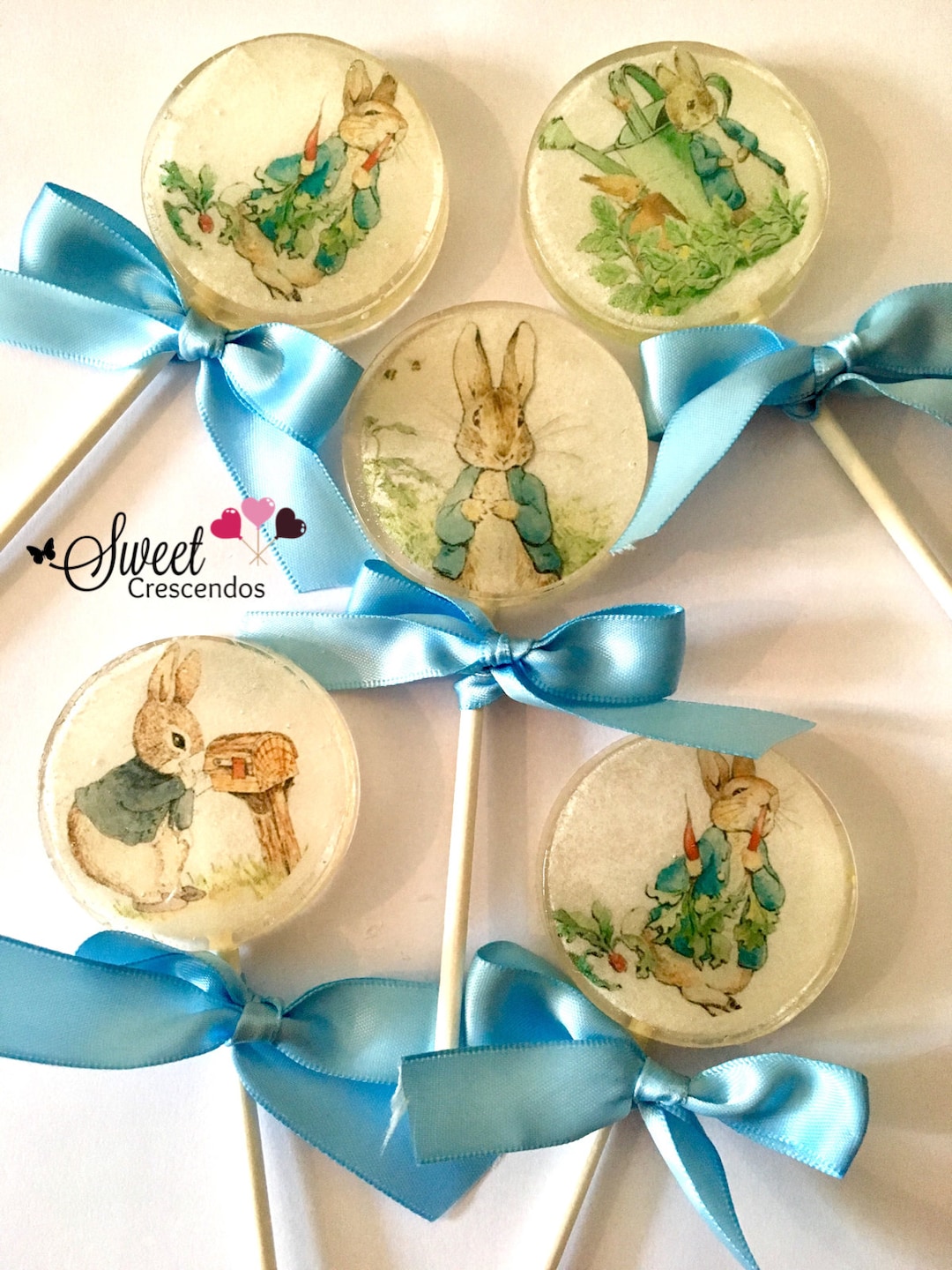 12 Pete the Bunny Rabbit Inspired Lollipop Collection -hard Candy ...