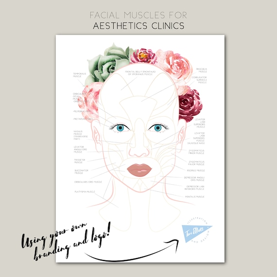 Aesthetics Clinic Injector Posters Facial Muscles With Your | Etsy UK