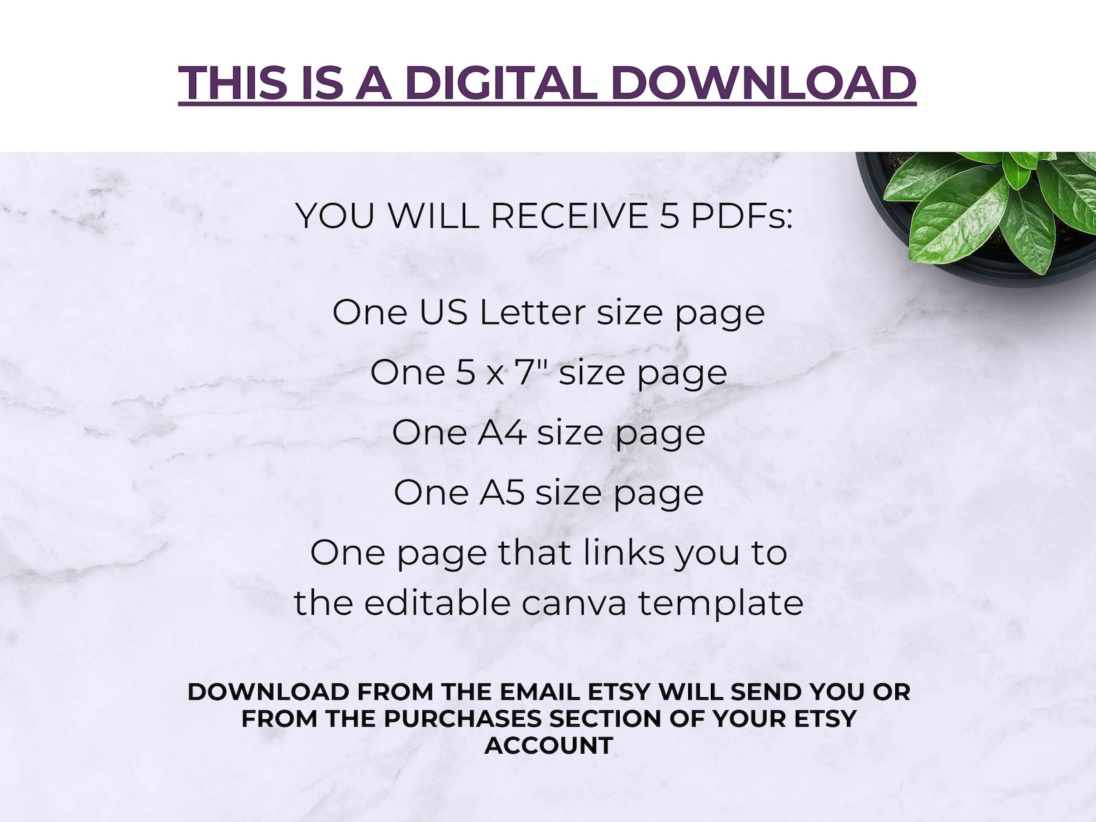 All About Me Gift Guide Editable Printable, Team Building Get to Know ...