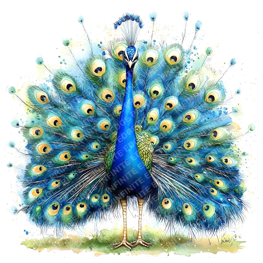 12 Watercolor Peacock Clipart, Peacock JPG, Elegant Bird Clipart ...