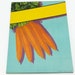 Vintage Carrots Vegetable Crate Labels - Etsy