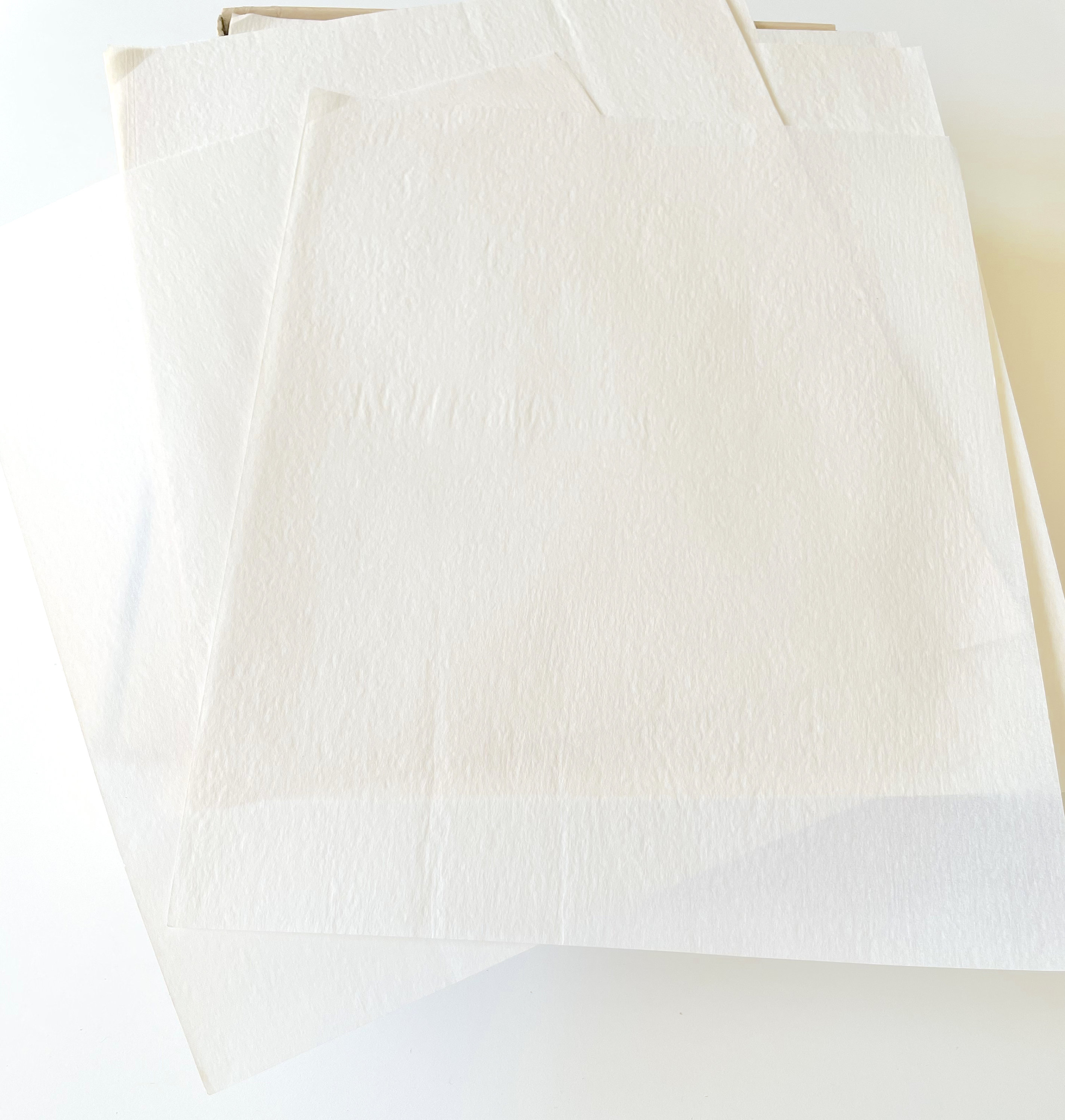 Vintage Fox River Onion Skin Paper With Cockle Finish Letter - Etsy