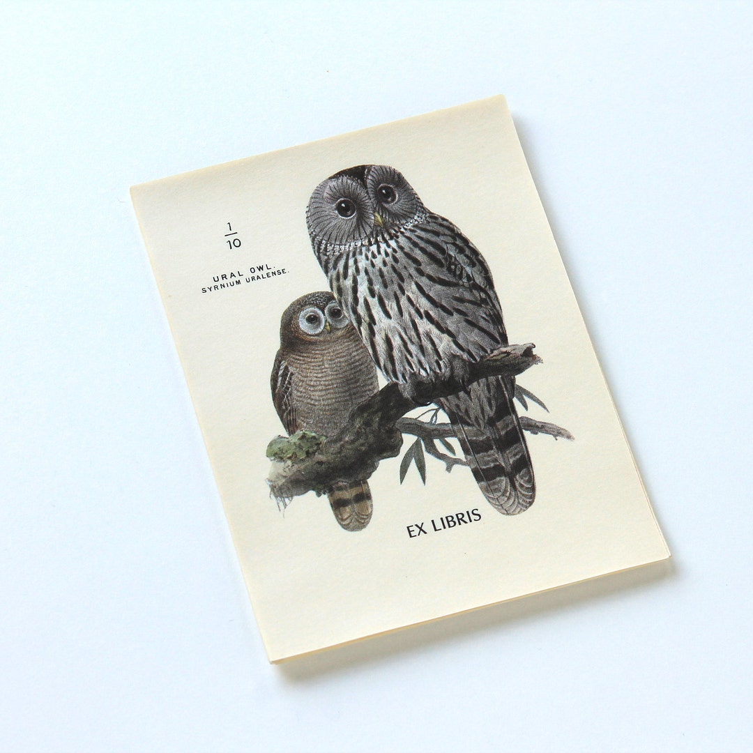 Vintage Bookplates - Audubon Ural Owl Illustration Ex Libris Labels - Etsy