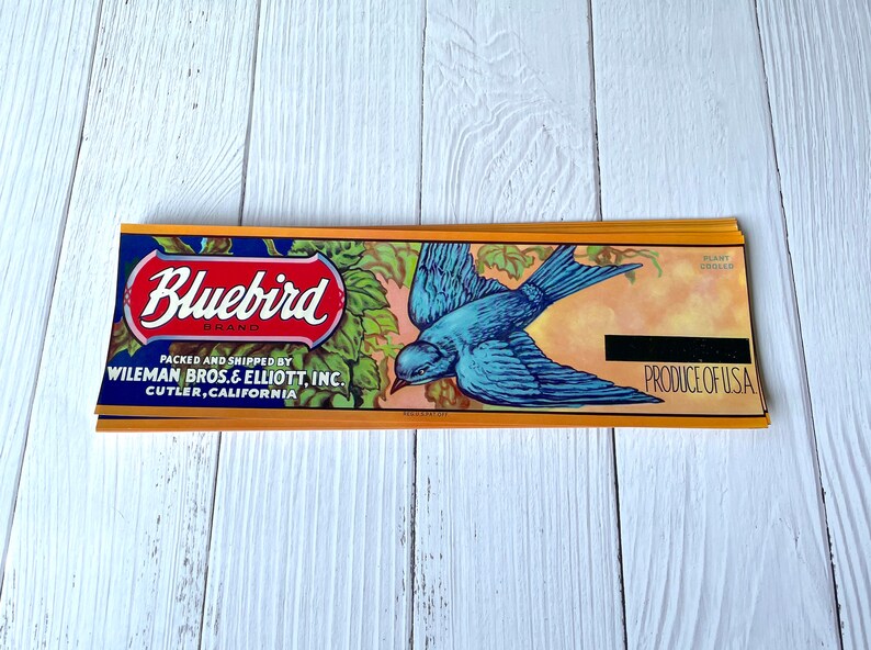 Vintage Crate Labels Bluebird Brand Produce Labels - Etsy